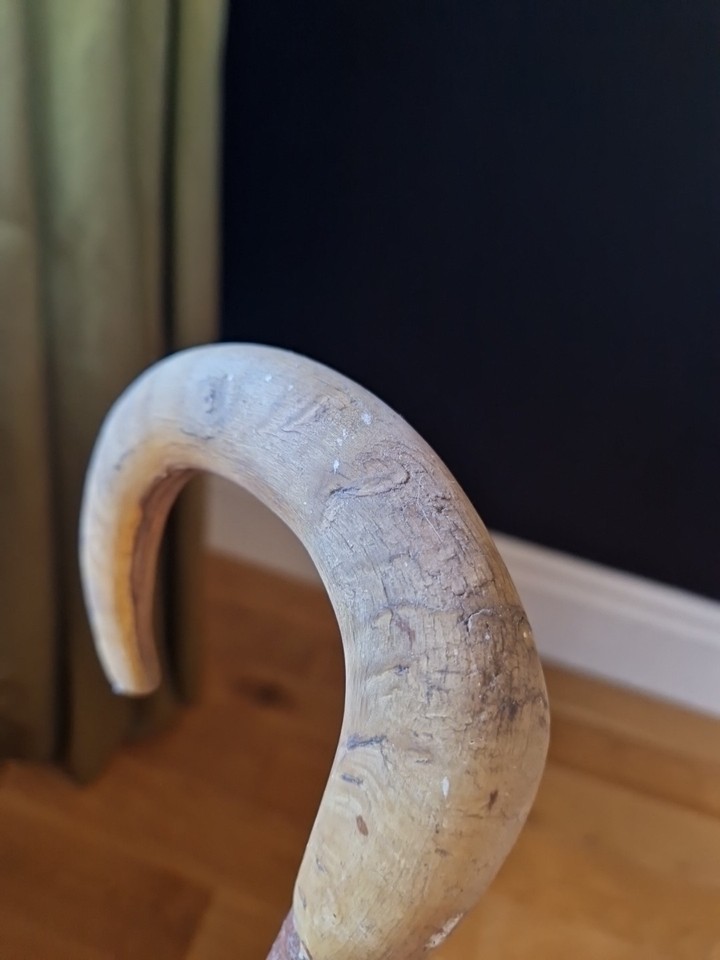 Antique Horn Handled Shepherds Crook Walking Stick Cane Wooden ...