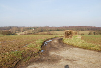 Photo 6x4 Track to Bramble Farm off Mayton Lane Broad Oak c2009 | eBay UK