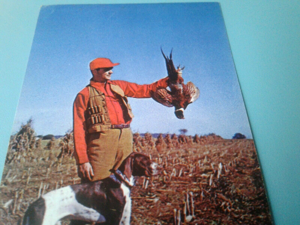 NEBRASKA: GREETINGS FROM MERRIMAN, NEBRASKA - NICE VINTAGE CARD | eBay