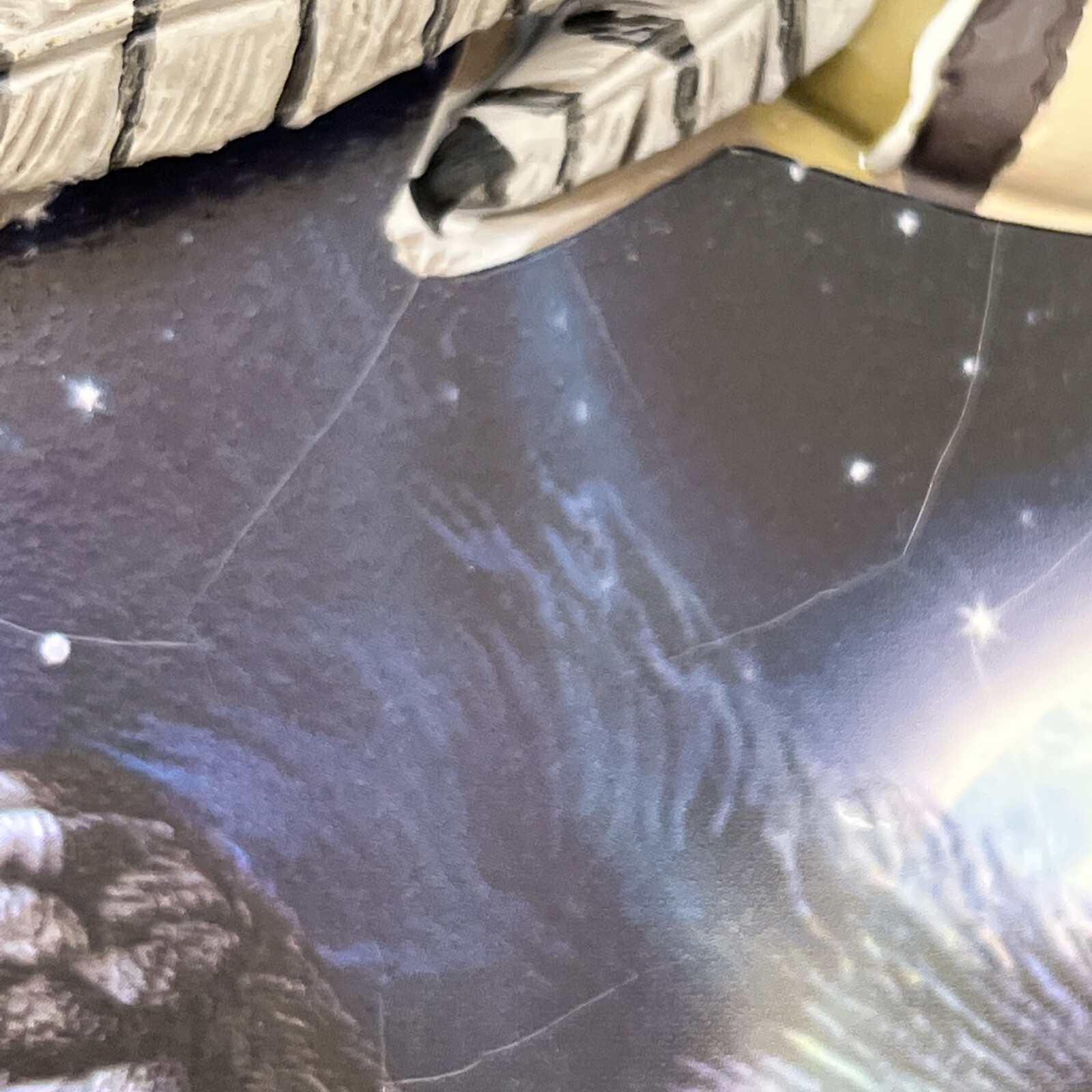 WOLFS PROTECTOR OF THE PACK Glow-in-the-Dark Plate SPIRIT OF THE WOLF ...