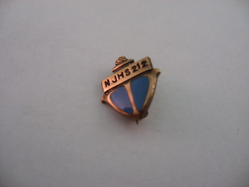 Antique Vintage NJHS 212 High School Nice Shield Torch Design High ...