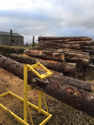 SabreCut Log Buddy Portable Log Saw Bench (SCLB01) for sale online | eBay