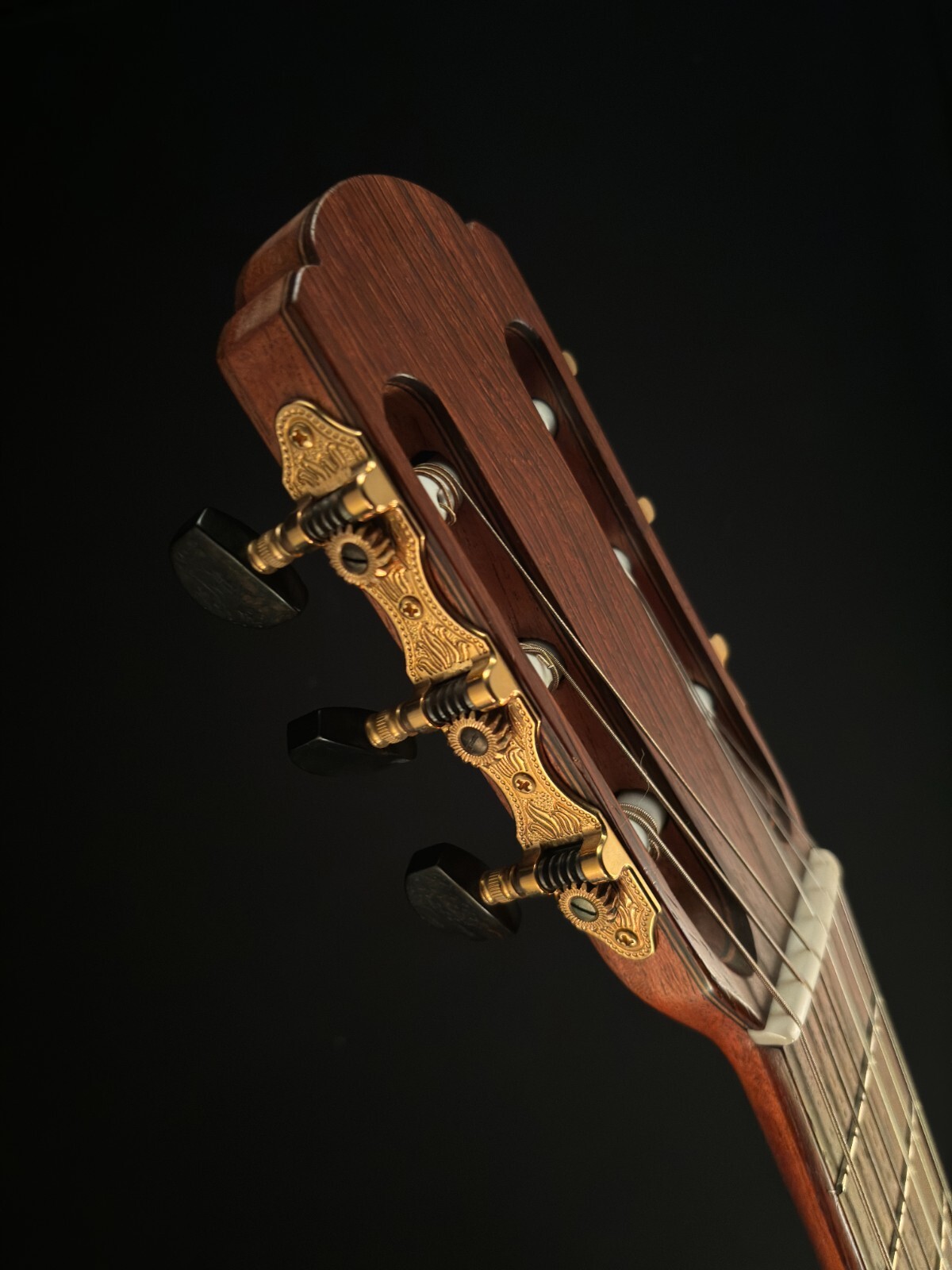 2001 Jamon Zeiler "California Condor" Acoustic "Electric" Nylon String ...