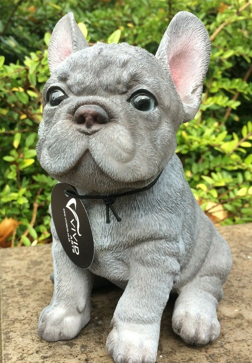 French Bulldog Grey