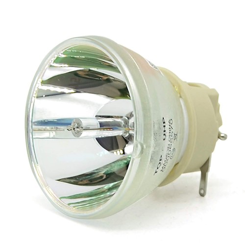 Replacement Projector Bulb for Optoma BL-FU240B/ SP.7AF01GC01 ...