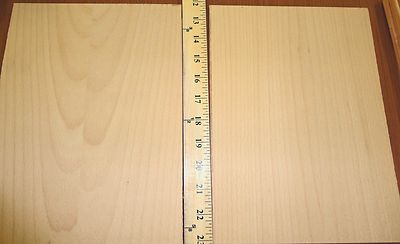 Steamed Beech wood veneer 7" x 9" with wood backer 1/25th" thickness "A ...