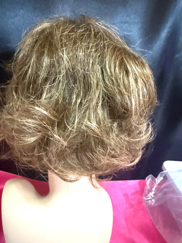 Godiva's Secret Wigs "Nina Wig" Iced Mocha-R | eBay