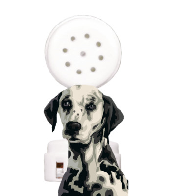 Interactive Dog Toy with 'Ruff, Ruff' Sound â€“ Plush Squeaker for ...