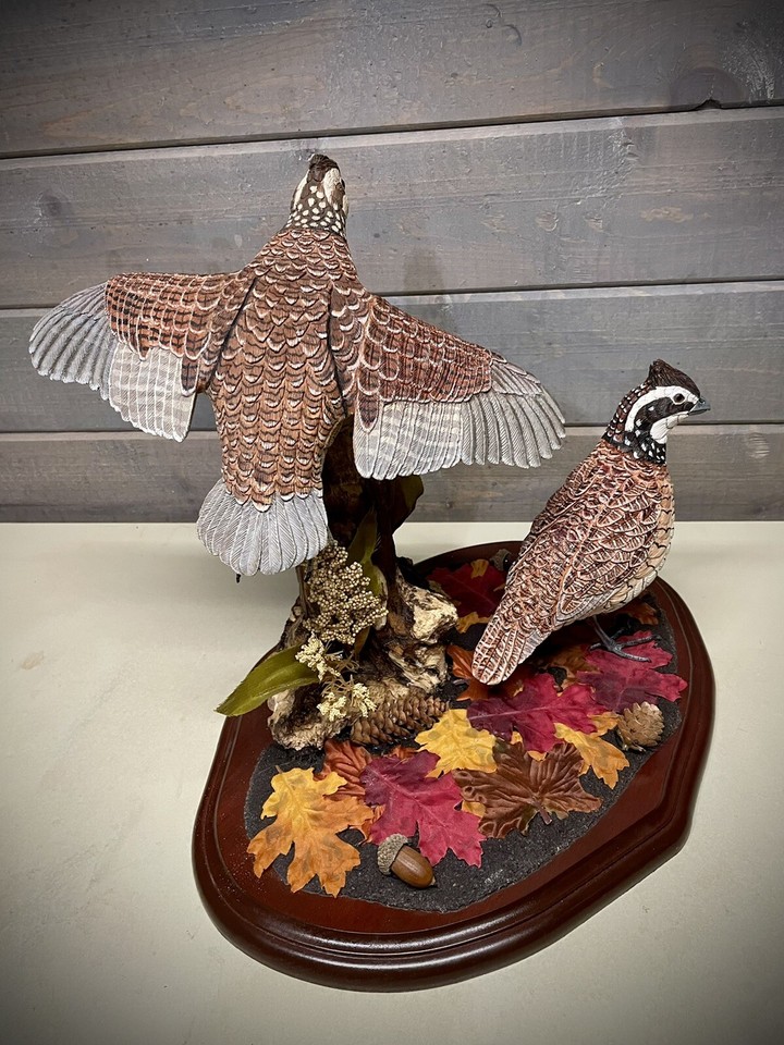 Bobwhite Quail Wood Carving - State Fair Award Winning Hand Carved Pair ...