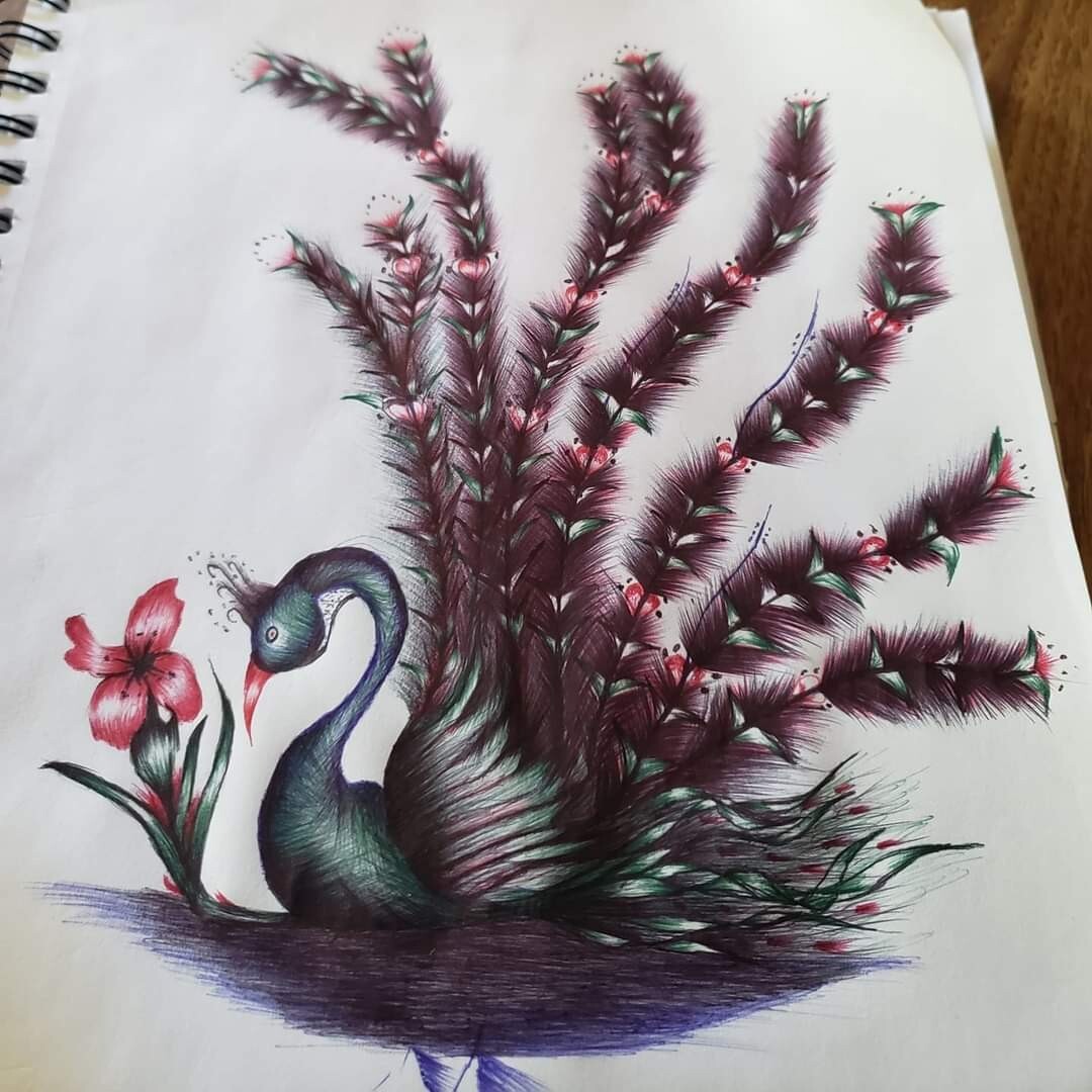 Color Pencil Drawings Of Peacocks "Peacock", Colour Pencil Sketch,