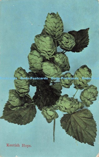 R195994 Kentish Hops E S London No 4207 | eBay