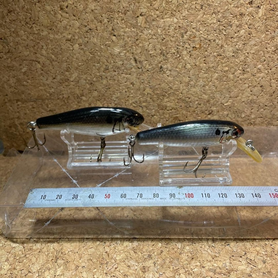 Bagley Small Fly Shad 80mm Bass Fishing Lure Shad Replacement | eBay