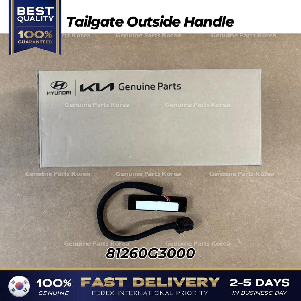 2013-2016 Genuine Hyundai Elantra GT Tailgate Outside Handle ...