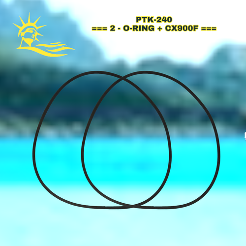 CX900F 2 PACK Liberty Seals O-Rings For Hayward Star-Clear Plus Pool ...