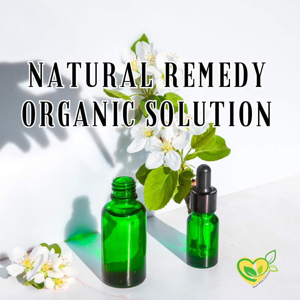 Bromelain 2K Tincture Natural Liquid Drop Pineapple Enzyme Digestive ...