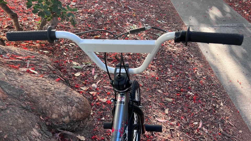 Mongoose Ravage Shut Op & Ride 20” BMX Bike Gray | eBay