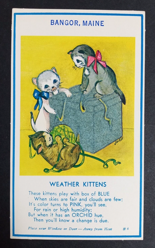 Weather Kittens Hygroscope Postcard Humidity Detector Novelty Bangor ...