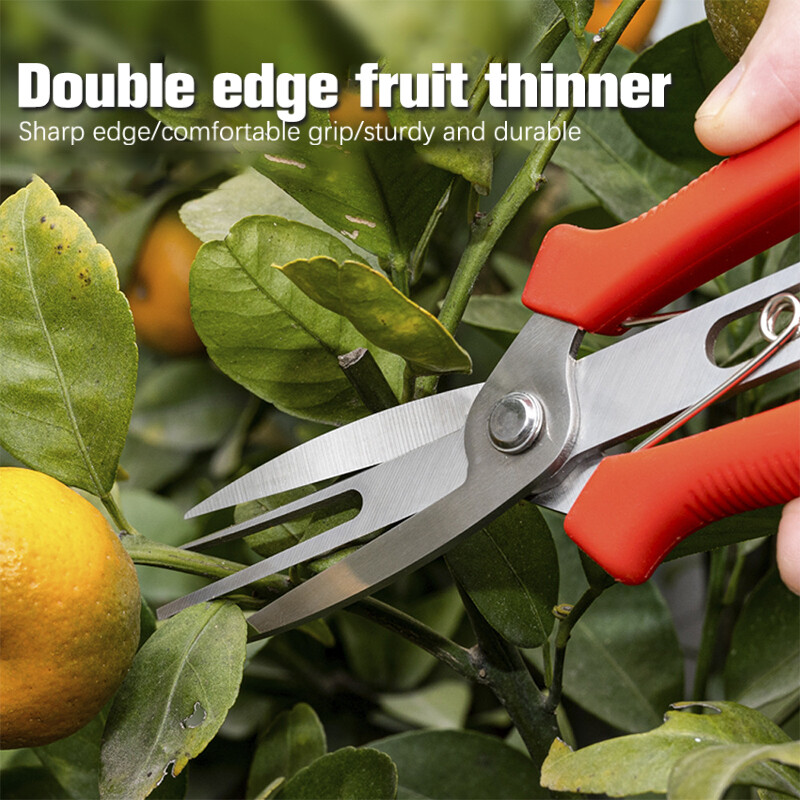 Agriculture Thinning Scissors Double-port Multi-use Pruning Fruit Tree ...