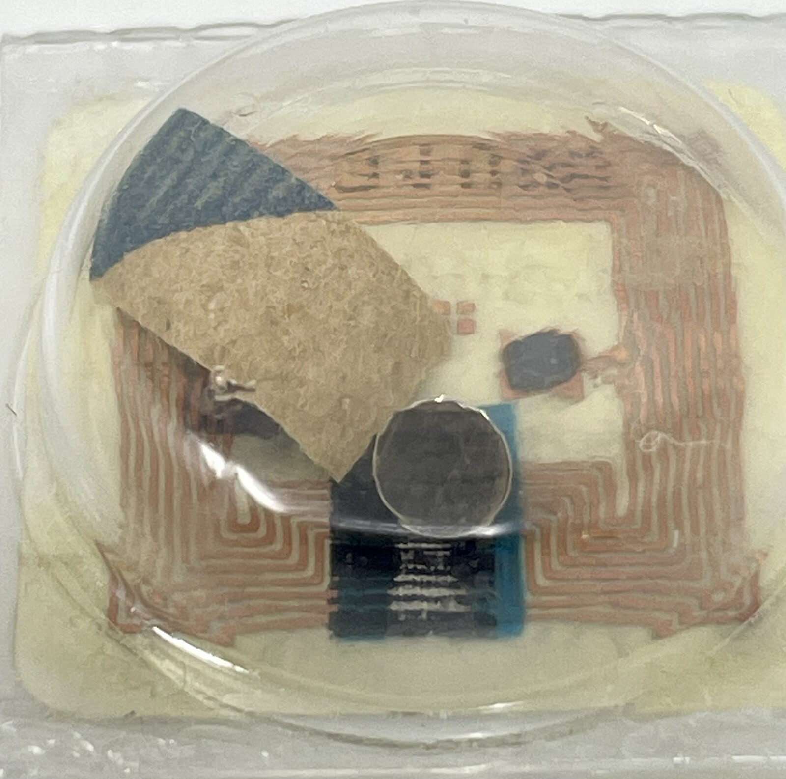 Genuine Rolex 3000 5064 Axle For Oscillating Weight NEW/SEALED 1 INSIDE ...