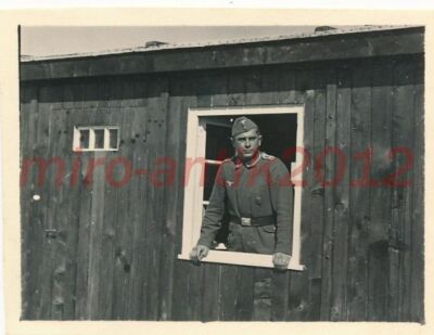 Photo, WW2, Eastern Front, Romania, Bucov, Sergeant at the Barrack ...