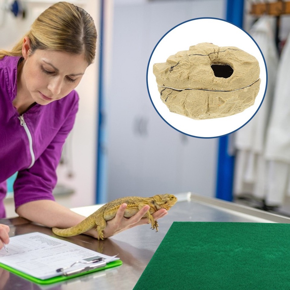 Bearded Dragon Tank Accessories Reptile Animal Shelter Hide Cave ...