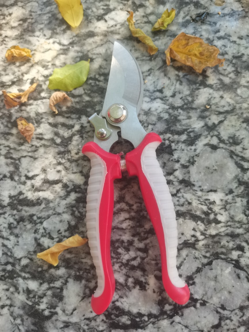 Plant Flower Scissor Pruning Shears Trim Tree Snips Branch Garden ...
