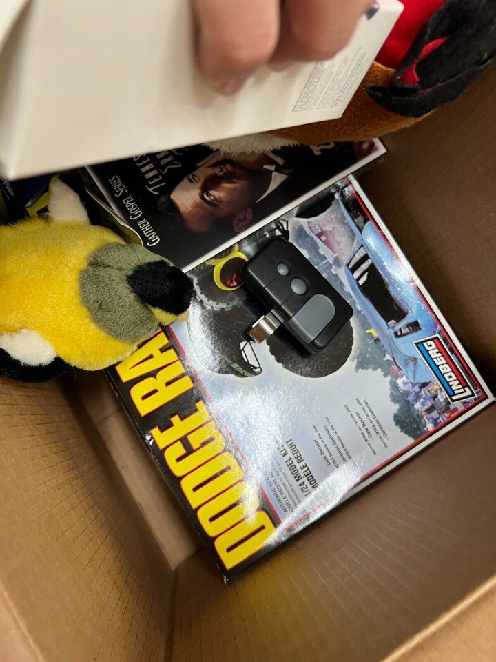 Unmanifested summer cleanup fun resellers Lot | eBay