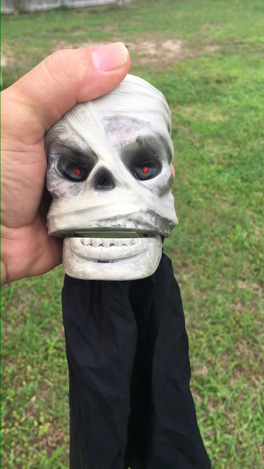 HTF Gemmy Halloween Hang Ups Mummy Skull Greeter Animated Lights Sounds ...