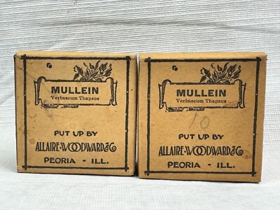 Antique Mullein Yellow Moth Itch Weed Quack Medicine Allaire Woodward 2 ...