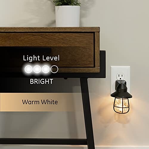 Vintage Night Light, Plug-in, Dusk-to-Dawn, Farmhouse, Rustic, Home ...