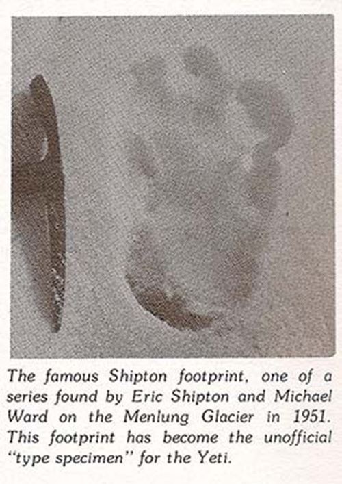 The Asian Wild Man: Yeti Yeren & Almasty Cultural Aspects and Evidence ...