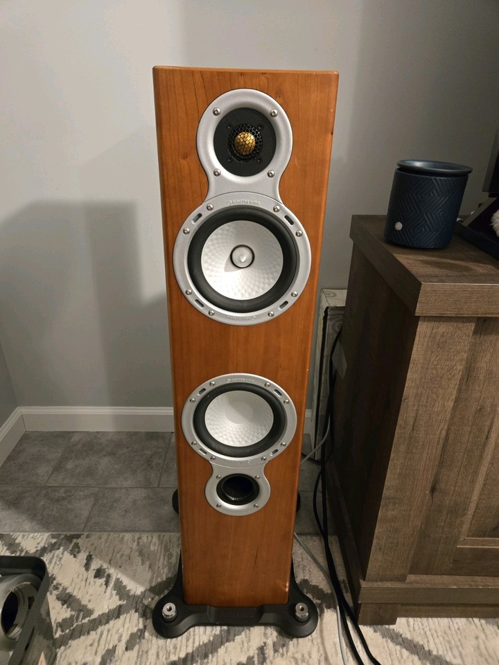 Monitor Audio Gs20 Floorstanding Speakers | eBay