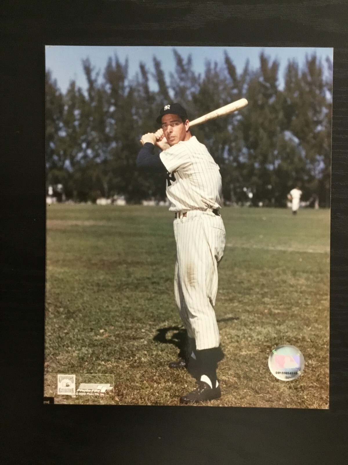 Joe DiMaggio New York Yankees Baseball 8x10 Color Photo I | eBay