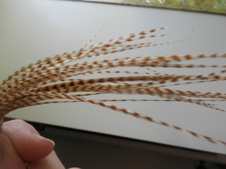 100 6-9" WHITING Ginger GRIZZLY ROOSTER SADDLE HACKLE FEATHER HAIR ...