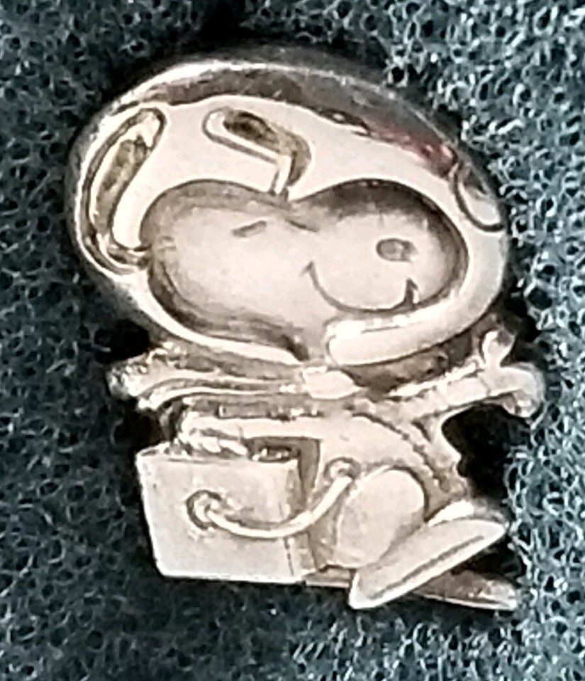 Extremely Rare NASA Flown Sterling "R" Snoopy Award Pin Last Challenger ...