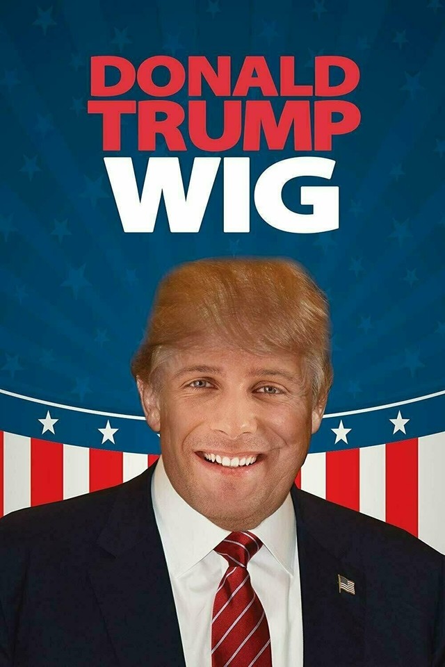 Donald Trump and Hillary Clinton Wig - Have A Debate in The Comfort of ...