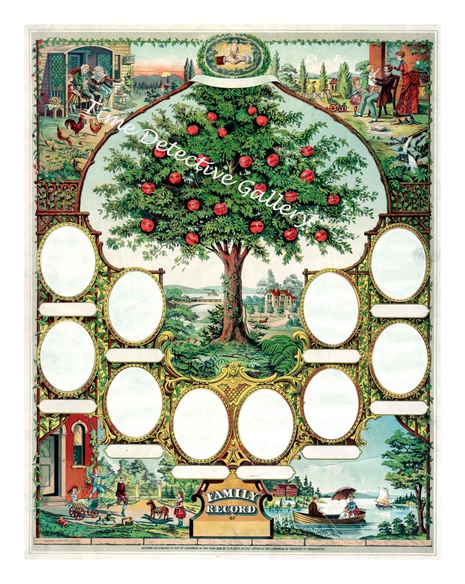 Ancestry Family Tree Forms