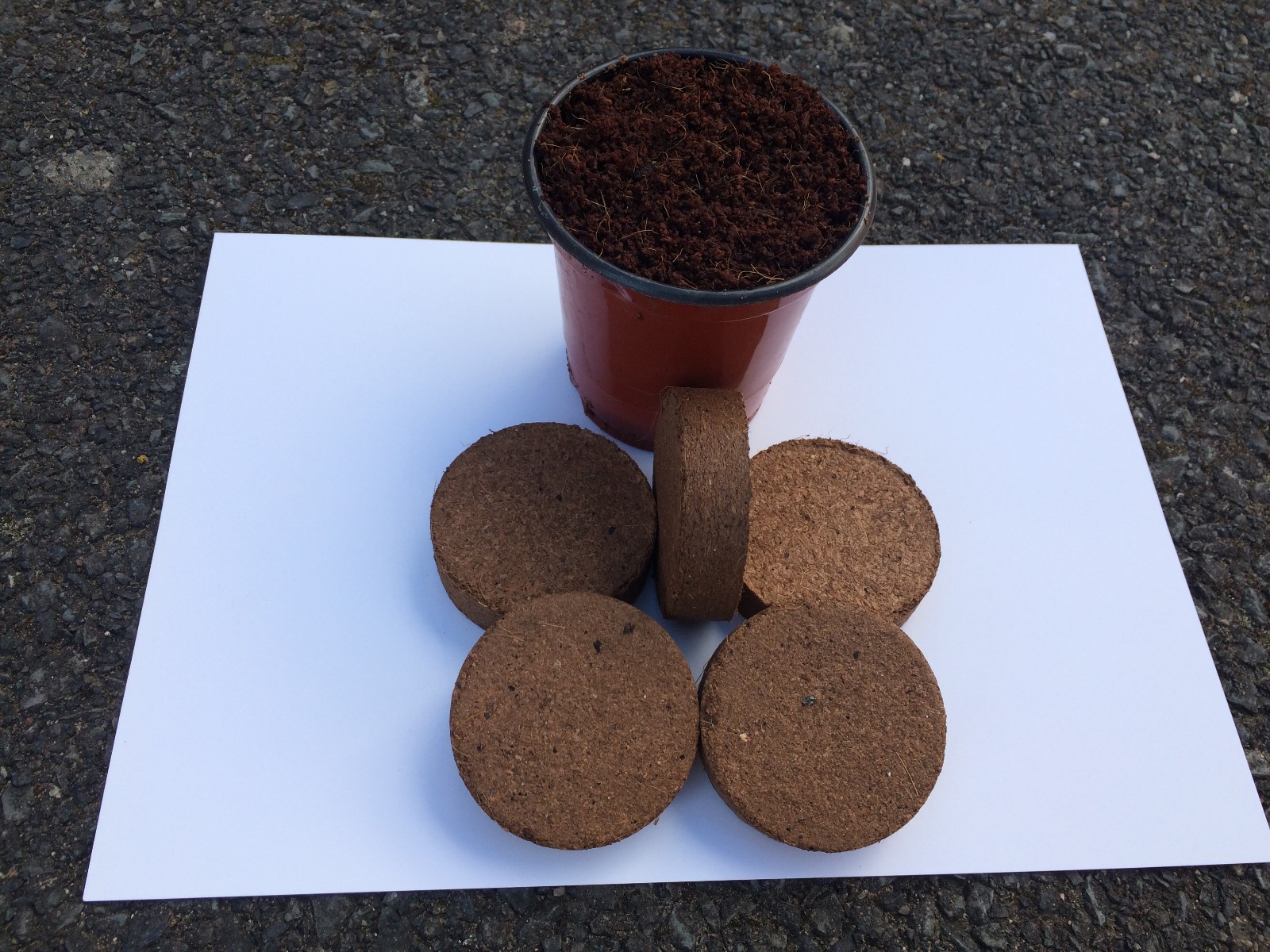 8 x 2L Coco Coir Discs (16L) - Perfect for Seeds, Plants and Veg | eBay UK