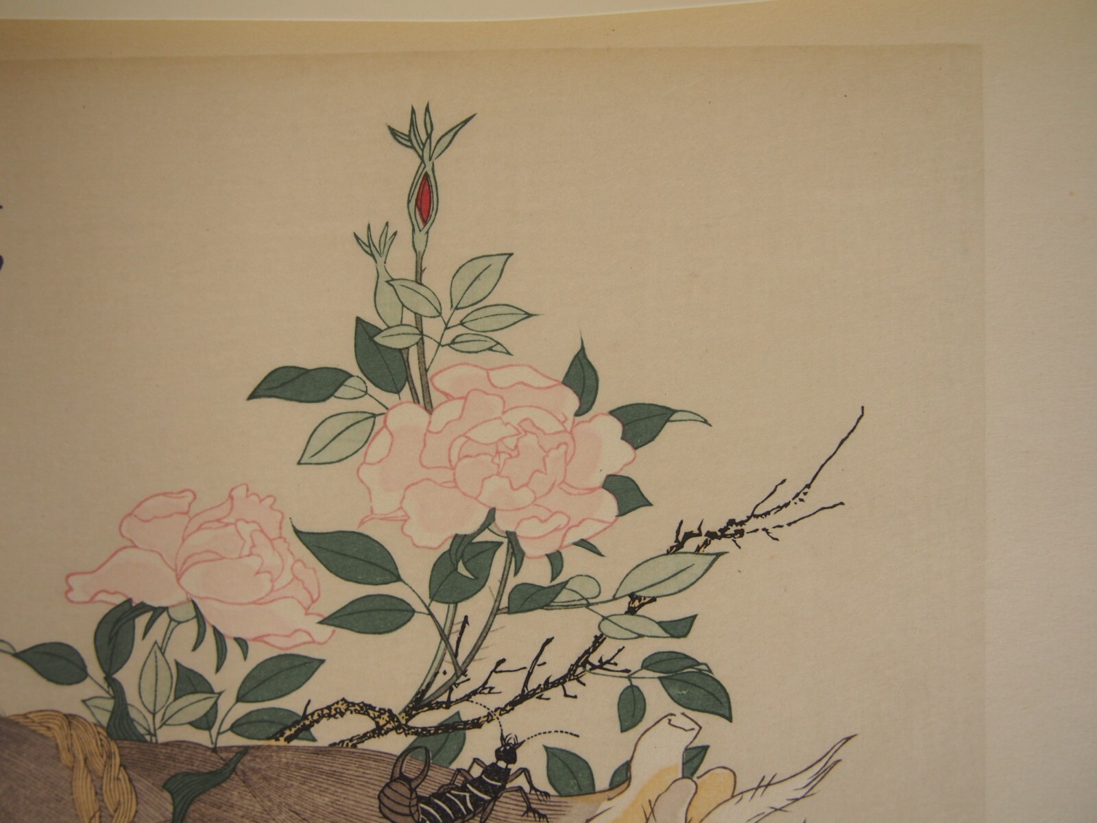 Kitagawa Utamaro Woodblock Print: Insect Masterpieces; Kera and Scissor ...