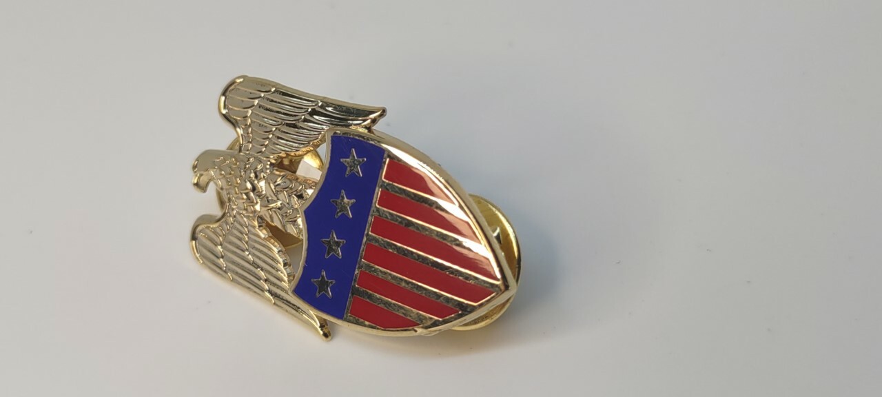 United States Army Aide To General Lapel Pin P10531 1 ¼ inches | eBay