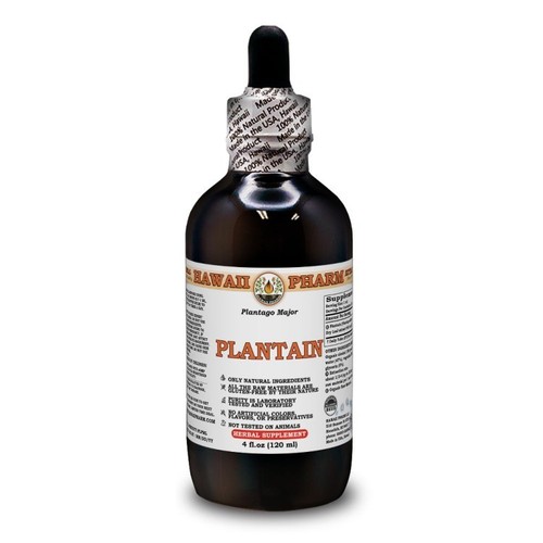 Plantain (Plantago major) Organic Dried Leaf Liquid Extract | eBay