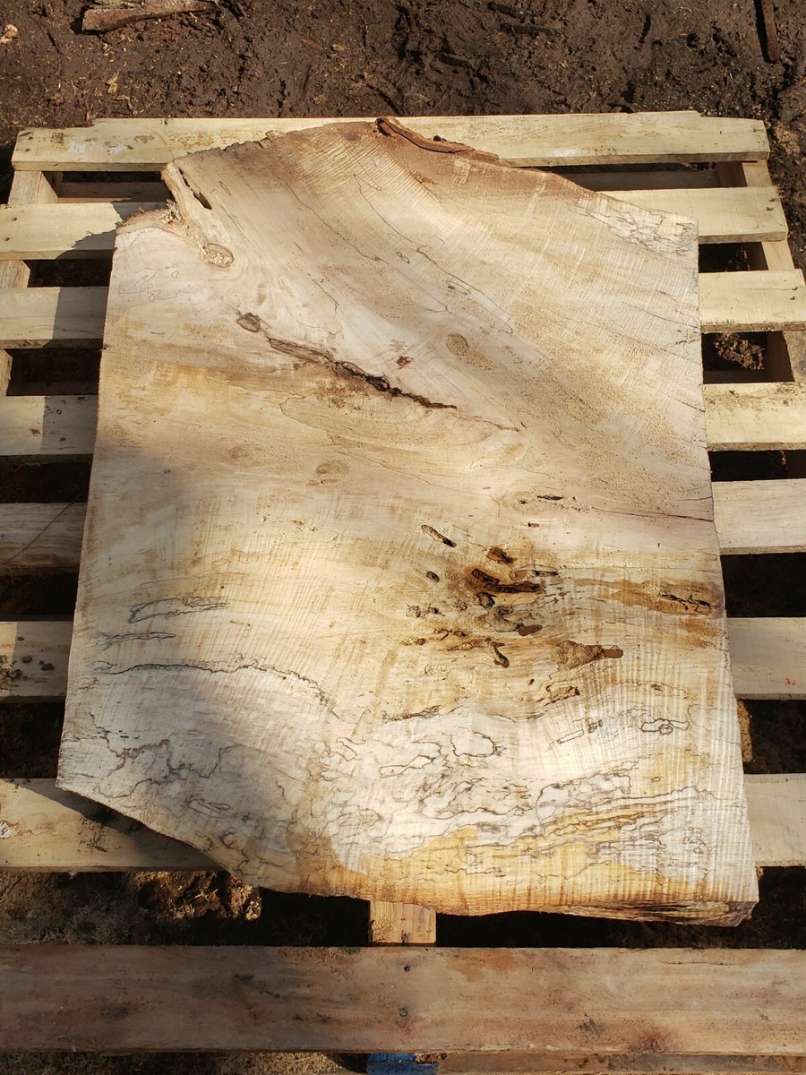 Tiger Maple Slabs Live Edge Single Slab Curly Maple Wood 90" X 33 39"