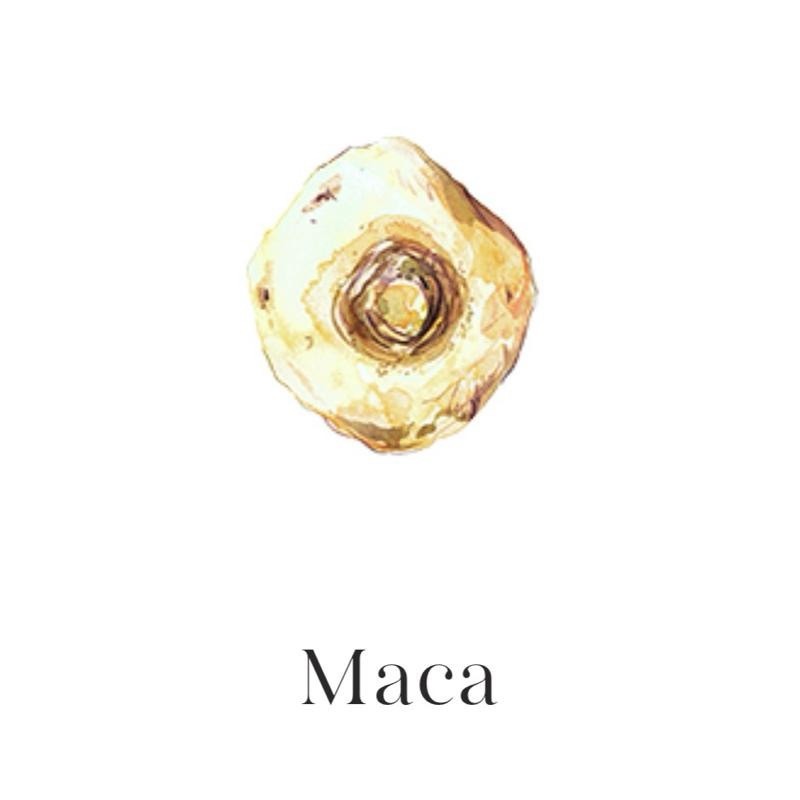 1 Forever Multi-Maca 60 Capsules Certified / Men Vitality/Naturel ...