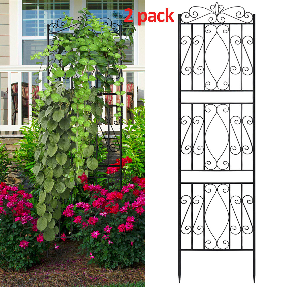 Plants On Trellis Graphic Representation 3Pcs Stackable Plant Stakes
