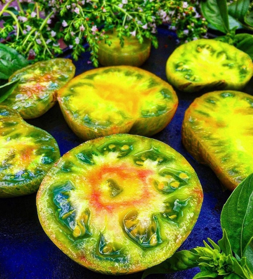 50 Green Berkeley Tie Dye Tomato Seeds -With Bonus! |Organic Non-GMO ...