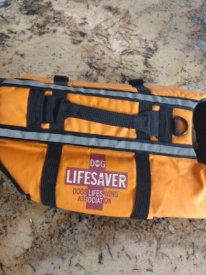 A Dog Lifesaver Vest And Dog Life Saving Association ..This can save ...