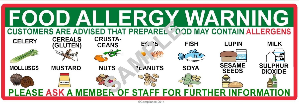 Food Allergy Printable Signs Food Allergy Warning Stickers Kid's