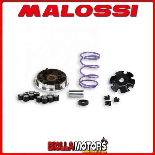 518648 VARIATEUR MALOSSI MHR PIAGGIO ZIP FAST RIDER 50 2T MULTIVAR 2000 ...