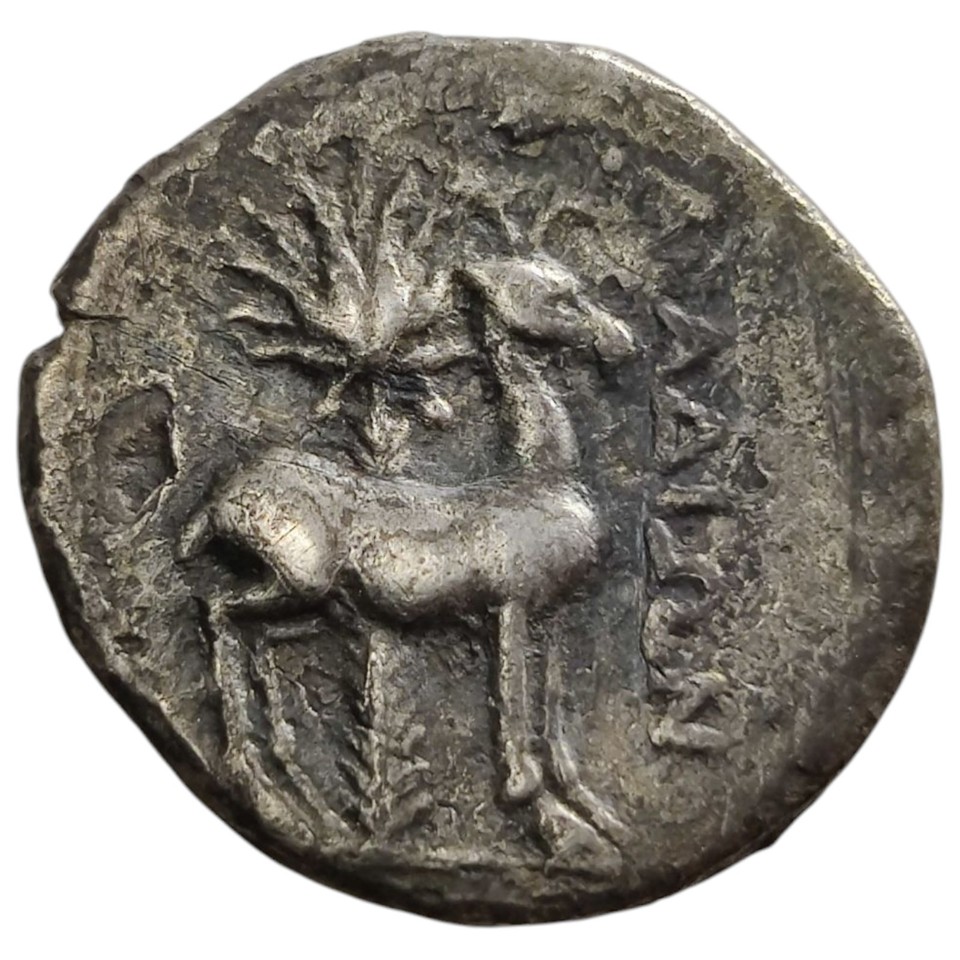 Phoenicia, Arados c. 172-111 BC Silver Greek Drachm Coin Bee Stag 14D ...
