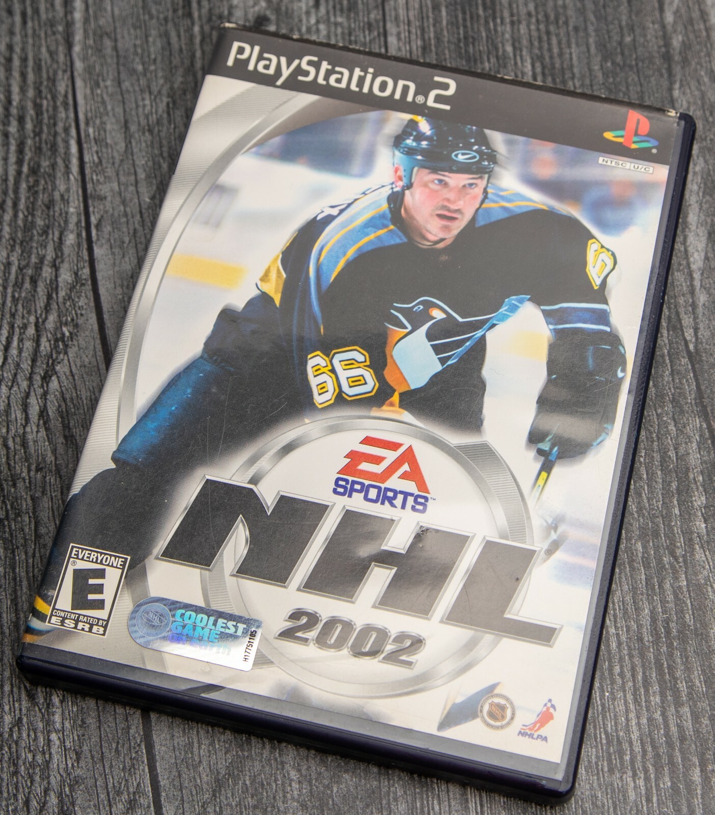 NHL 2002 SONY PLAYSTATION 2 HOCKEY GAME CLEANED/TESTED CLASSIC CIB EA ...